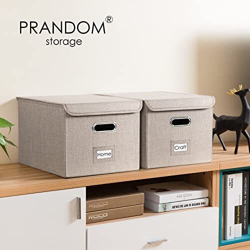 PRANDOM File Organizer Box - Set of 4 (4-pack) without folders Light ...