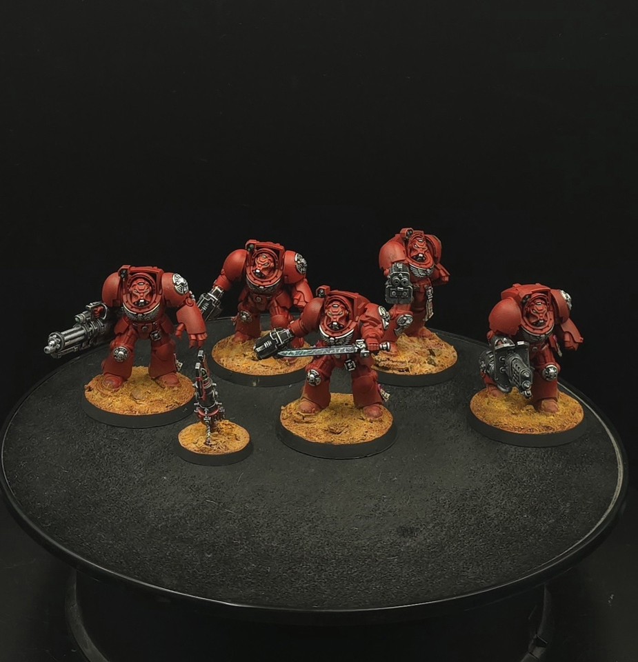 Pro Painted Warhammer 40k Primaris Blood Angels Terminators LG1 Games ...