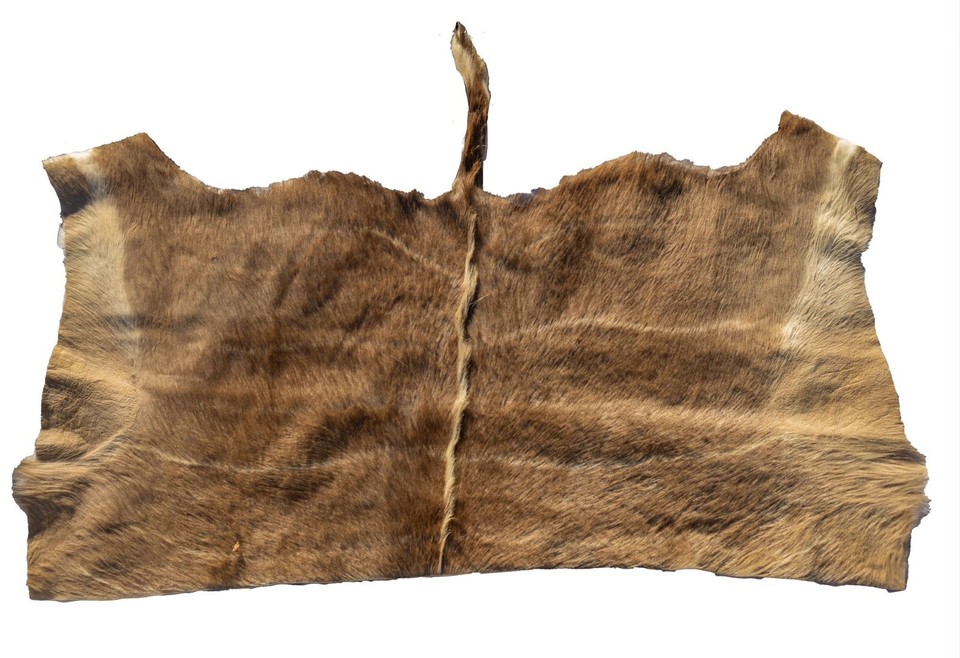 African Greater Kudu tanned Backskin thick hide taxidermy 42x61"animal ...