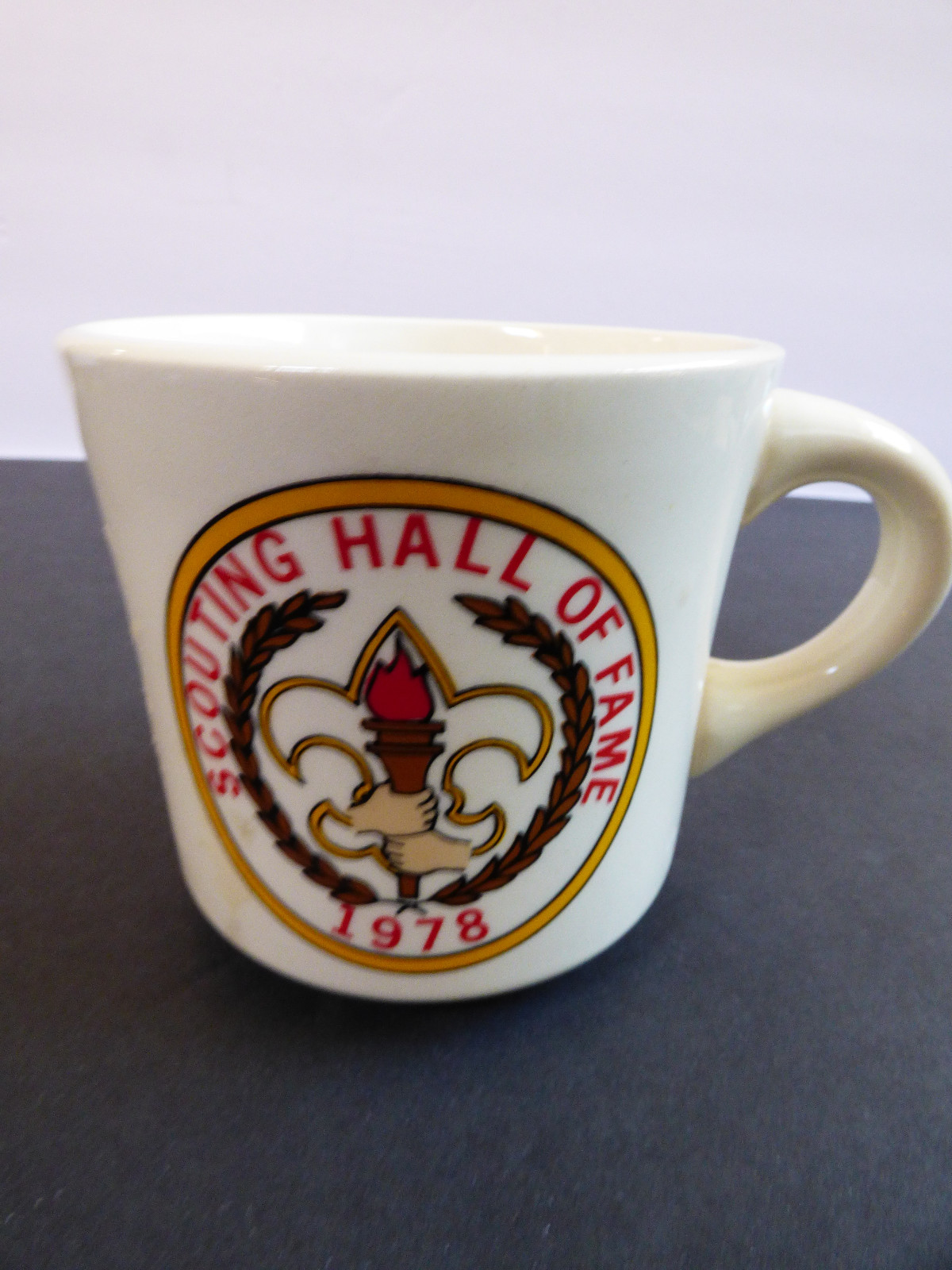 VTG BSA Boy Scouts of America Mug Cup Scouting Hall of Fame 1978 | eBay
