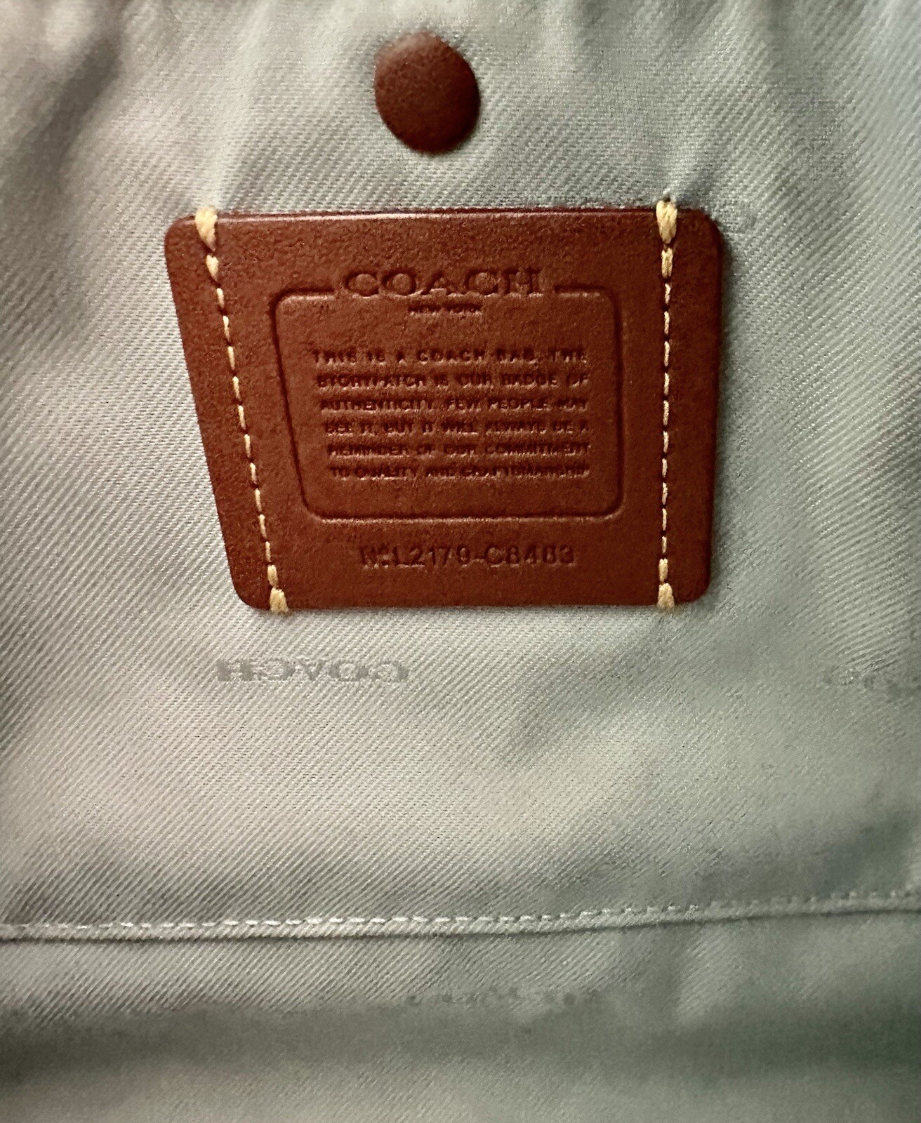 COACH • Leather Chaise Crossbody / Sling / Hand Bag - Gem