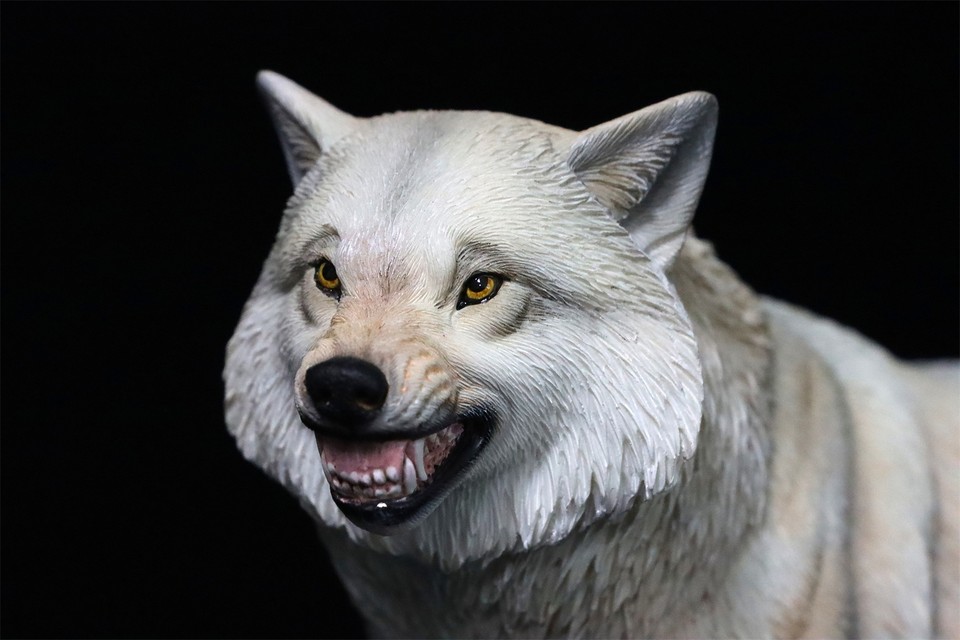 JXK 1:6 Scale Tibetan Wolf Model Animal Scene Decor Collection Soldier ...