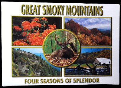 GREAT SMOKY MOUNTAINS NATIONAL PARK Four Seasons of Splendor Postcard ...