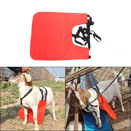 Sheep Breeding Prevention Apron Goat Anti-Breeding Apron - Adjustable ...