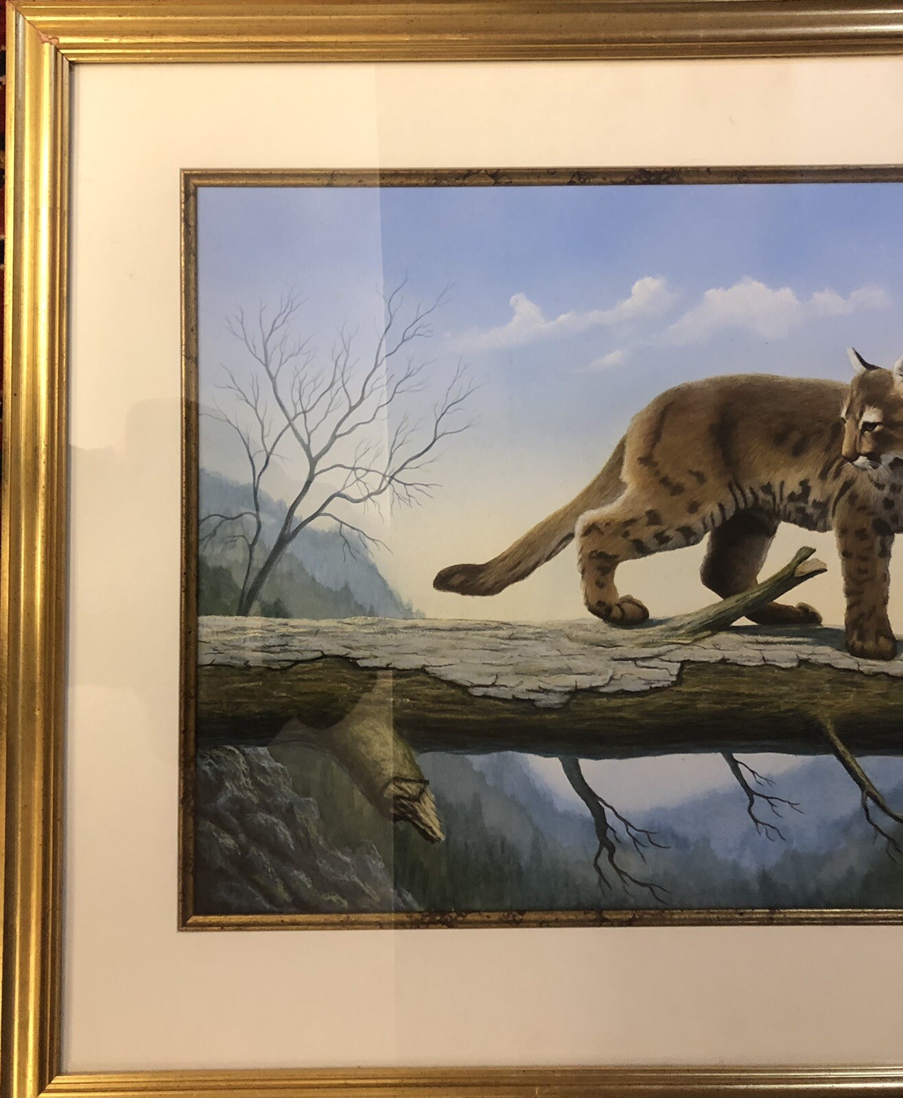 Peter JEPSON, original watercolour/pastel painting - Big Wild Cat | eBay UK