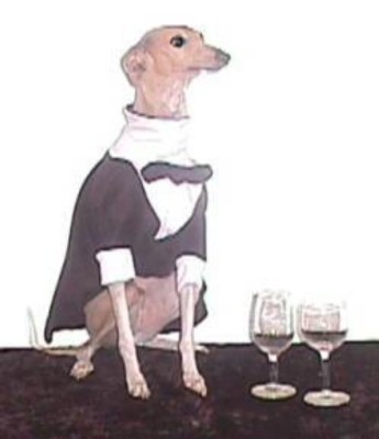 BLACK TUXEDO PJ XOLO CHINESE CRESTED ITALIAN GREYHOUND FLEECE DOG ...