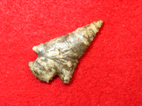 Authentic Native American artifact arrowhead Arkansas bird / arrow ...