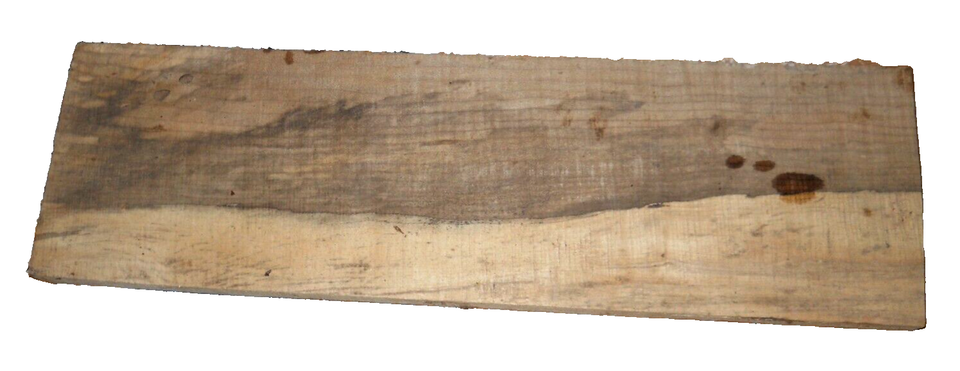 FIDDLEBACK SPALTED MAPLE SLAB CRAFTING WOODWORKING APPROX 21.5x6.5x1.25 ...