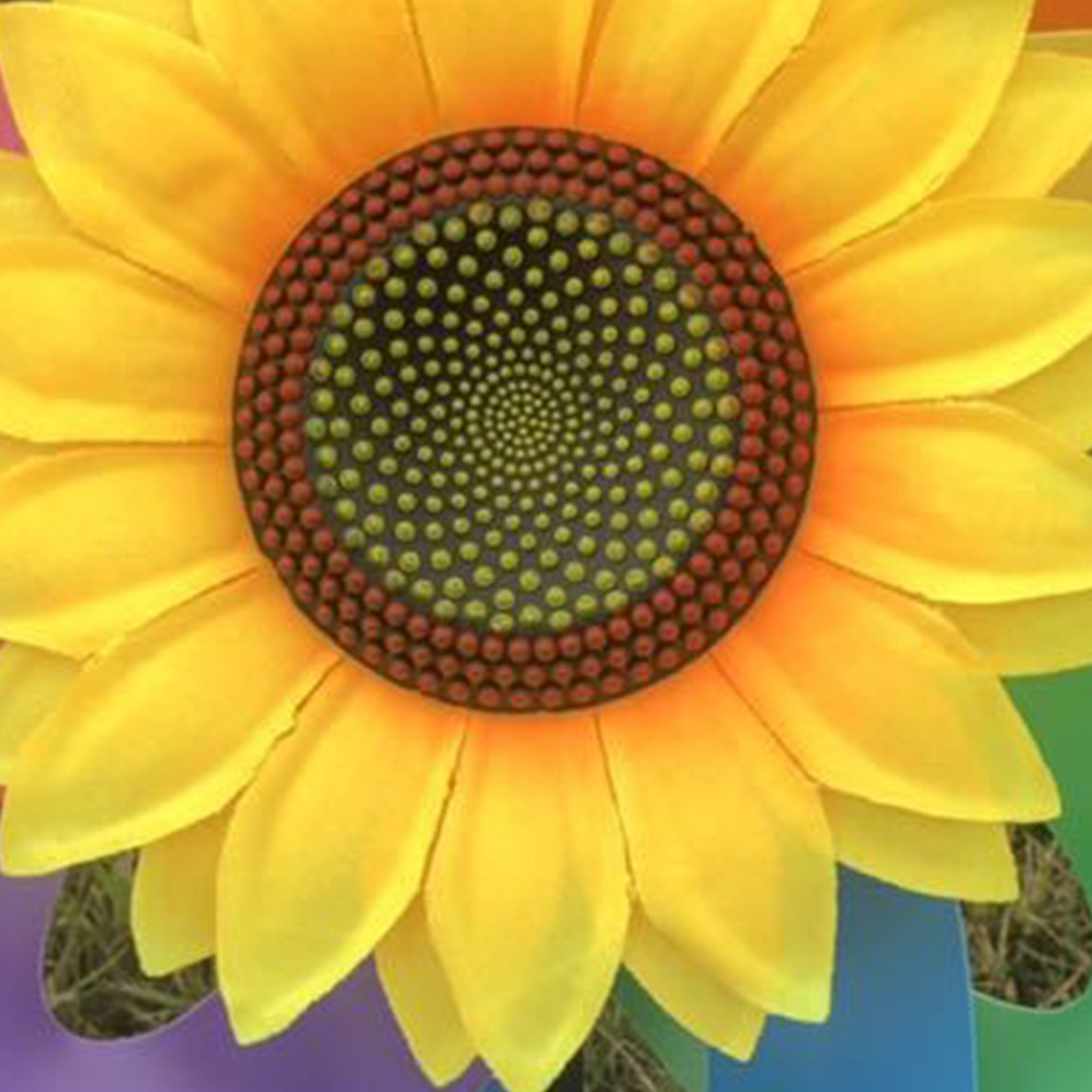 1 Set Windmill Colorful Anti-fade Diy Rainbow Flower Pinwheel Decor ...