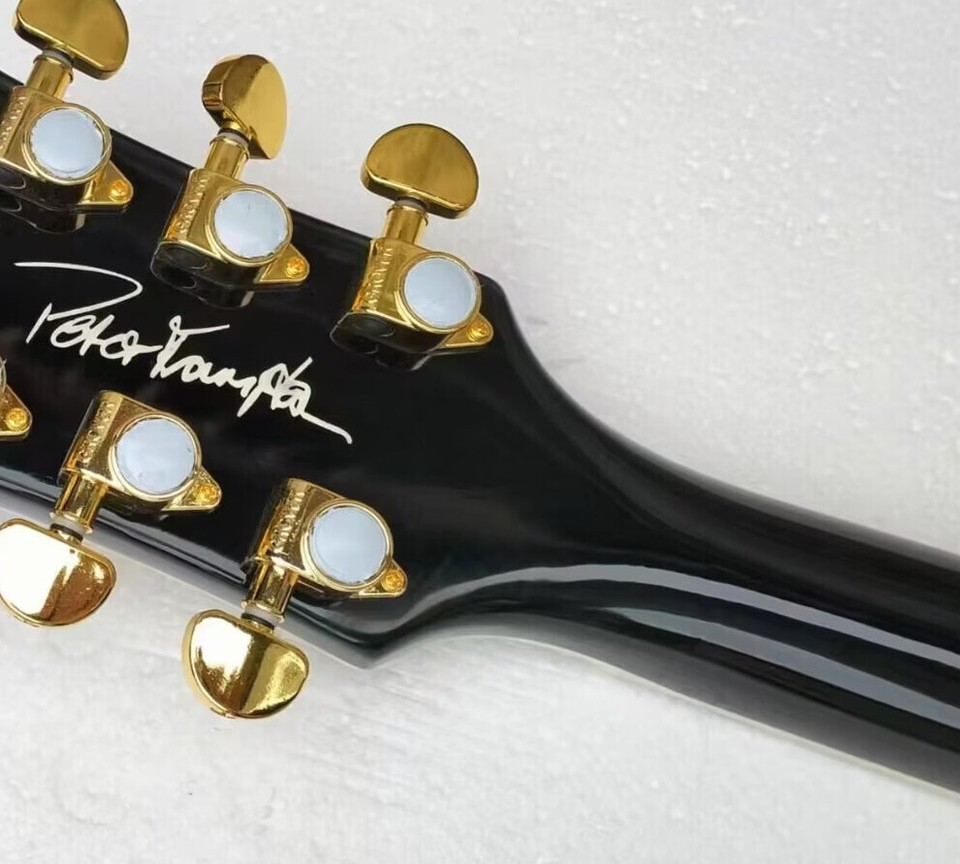 Peter Frampton Black Phenix Inspired Electric Guitar Fret nibs Ebony ...