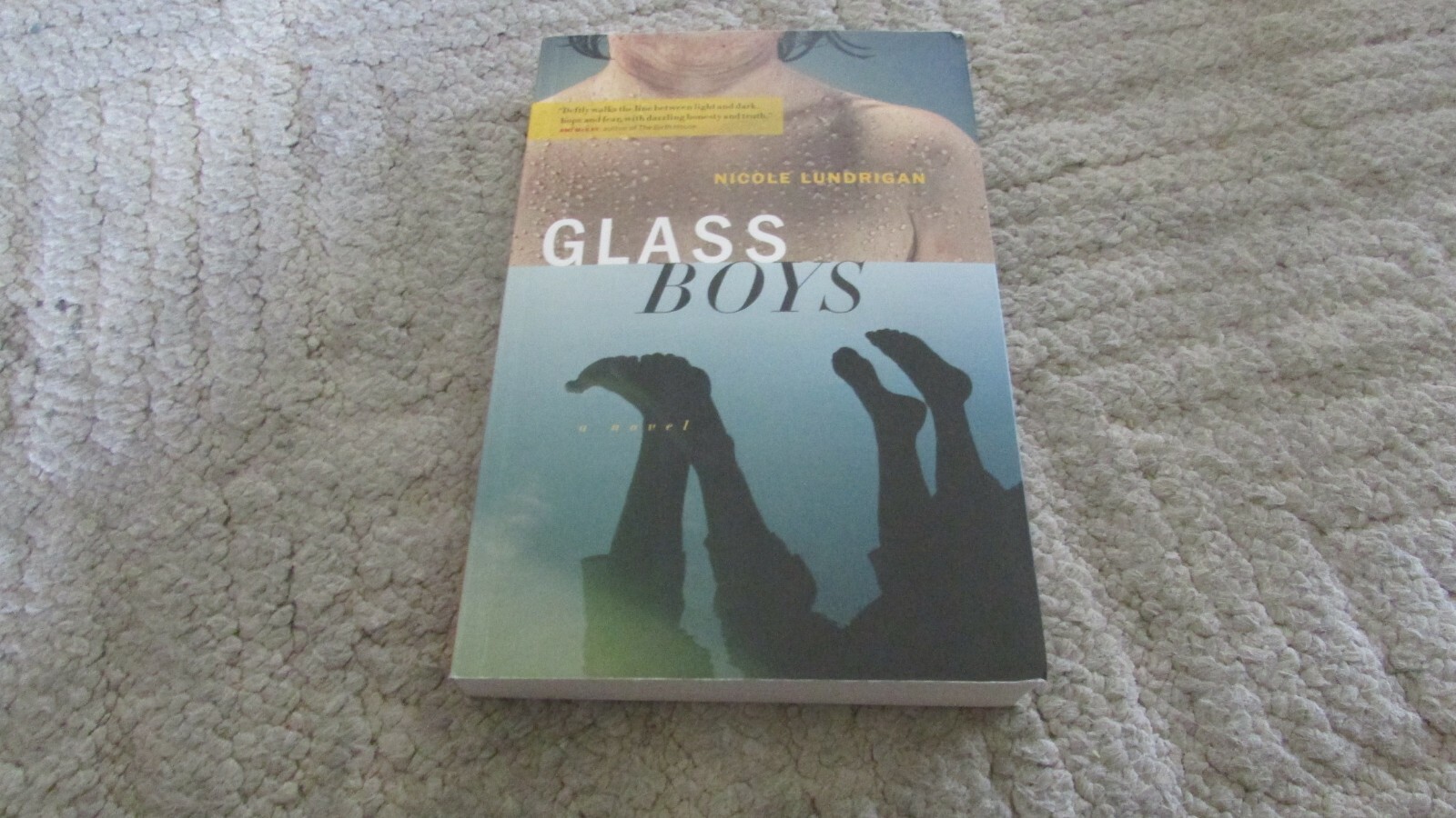 Glass Boys : A Novel by Nicole Lundrigan (2012, Paperback ...