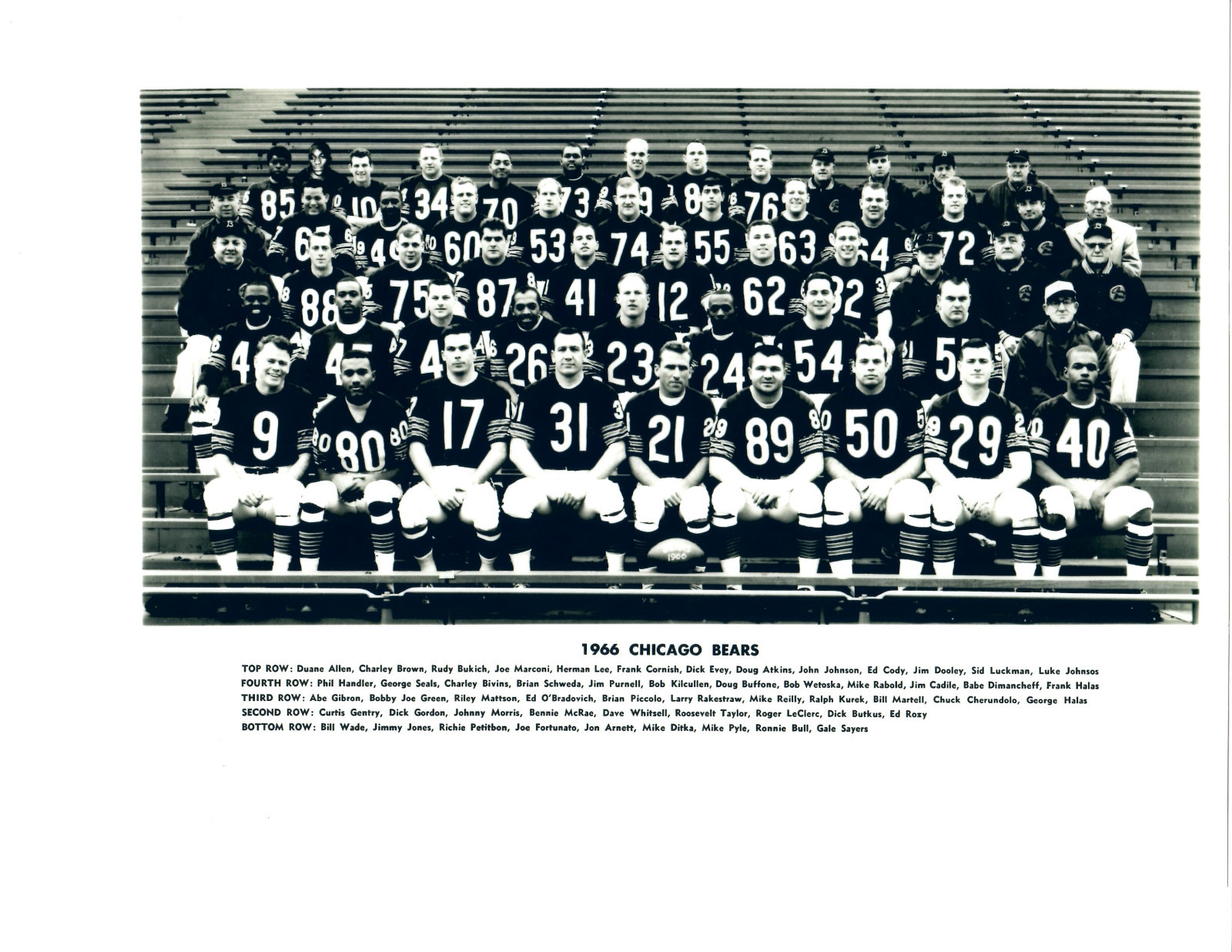 1966 CHICAGO BEARS TEAM 8X10 PHOTO PICCOLO SAYERS NFL ILLINOIS FOOTBALL ...
