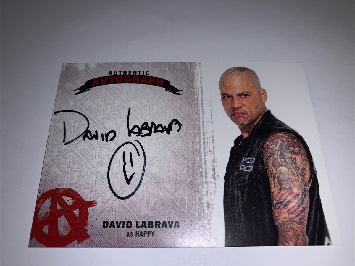 David Labrava Tattoos David Labrava Height