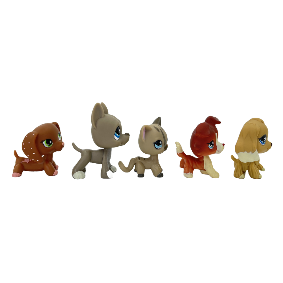 5pcs/lot Littlest pet shop dogs and short hair cat #556 #184 #468 #1542 ...