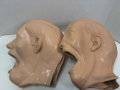 2 Dentoform Dental Manikin Head Shrouds for ADEX CDCA Exam or Haunted ...