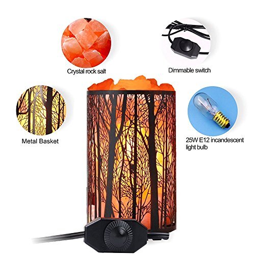 Himalayan Salt Lamp, Salt Rock Lamp Natural Night Light in Forest ...