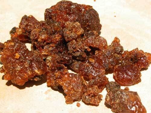 Tree Gum Guggul Guggulu Commiphora Mukul Myrrh Organic Indian Raw 200gm ...