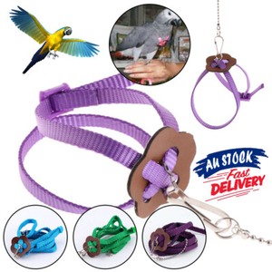 Outdoor Training Lead Leash Budgie Bird Parrot Bird Leash Adjustable ...