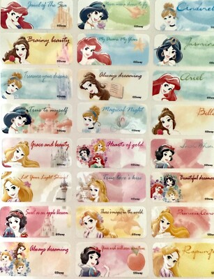 42 Personalized Kids School Name Stickers Name Labels - Disney Princess ...