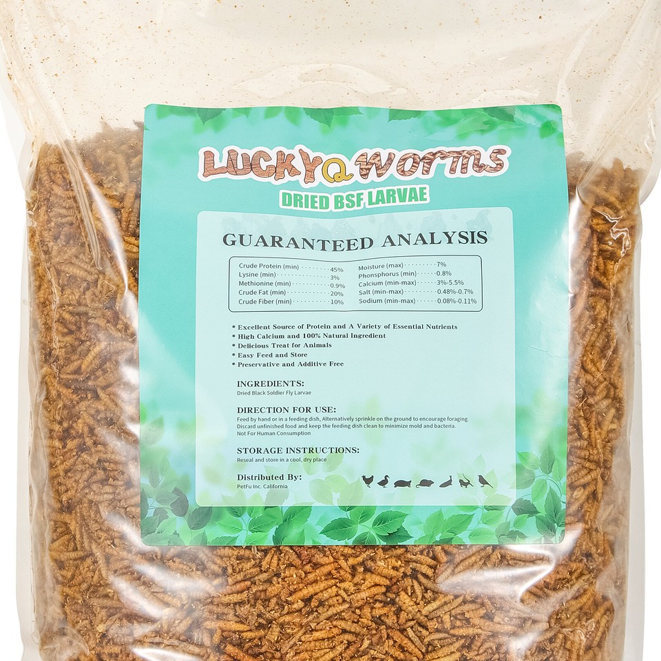 5lbs Non-GMO Dried BSF Mealworms High-Protein Worms Fit Chicken Treats ...