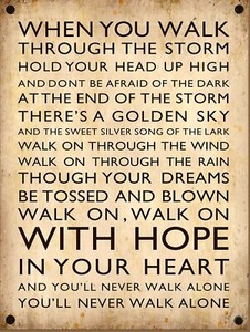 When You Walk Through The Storm, Retro vintage style metal tin sign ...