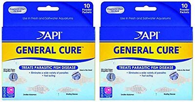 API Powder General Cure 10 count (2 Pack) | eBay
