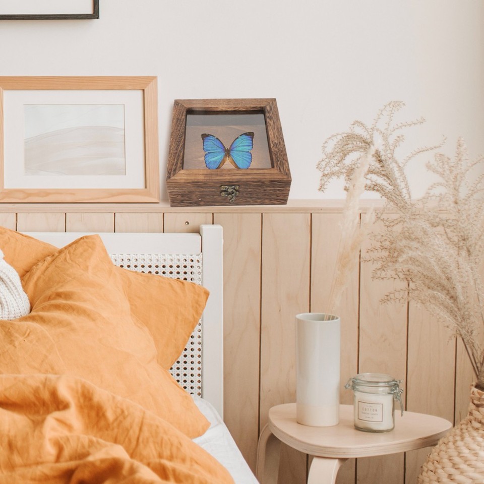 Specimen Case Sample Display Box Wooden Postcard Box | eBay UK