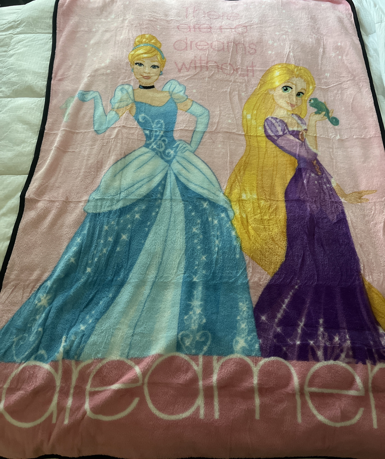 Disney Princesses 👸🏼Rapunzel & 👸🏼Cinderella Throw Blanket 44” x63 ...