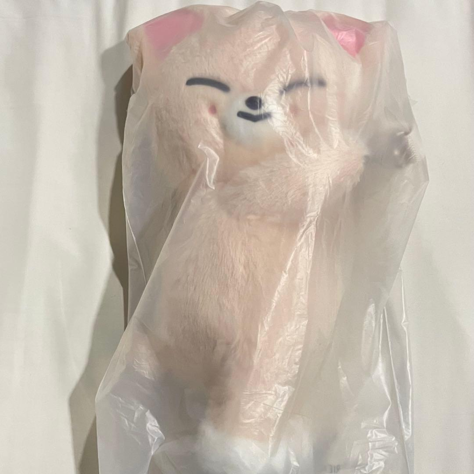 Stray Kids I.N Foxiny Plush Bag World Tour DominATE CelebrATE Popup NEW ...