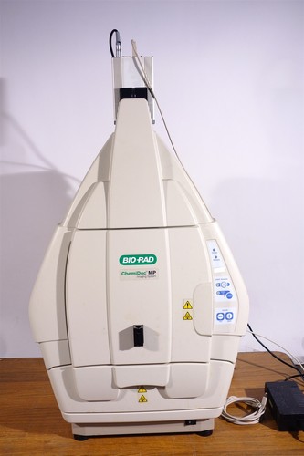 Bio-Rad Chemidoc MP Gel Imaging System Excellent | eBay
