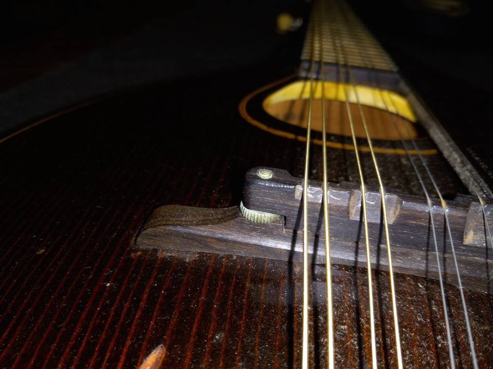 Vintage 1928 Gibson A model Mandolin label serial number and FON intact ...