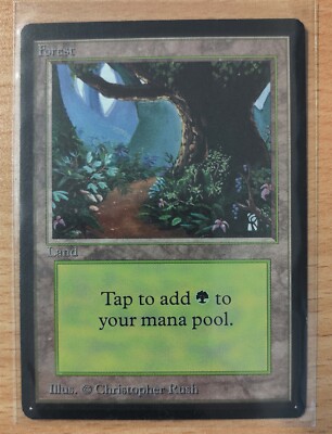 MAGIC THE GATHERING MTG CARD - Forest - Beta (Version 2) | eBay Australia