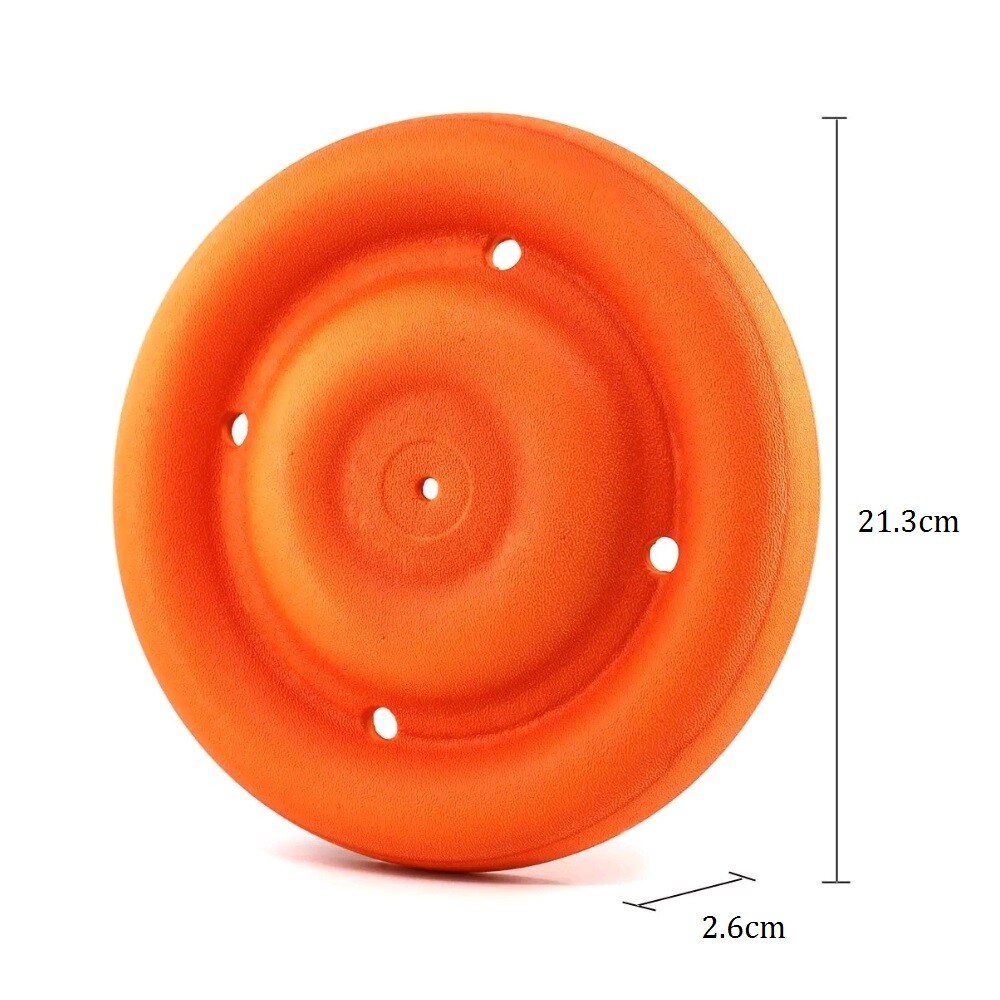 Frisbee Mount for GoPro HERO 12/11/10/9/8/7/6/5/4/3/MAX/Session | eBay