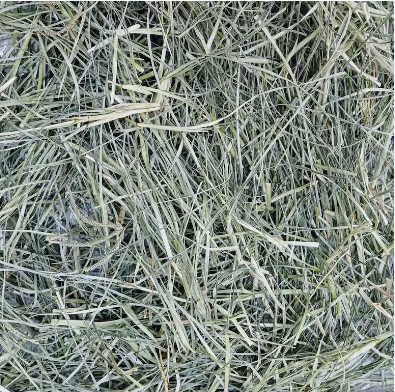 100g Ayurvedic Dried Paragis Leaves Eleusine Indica Goose Grass ...