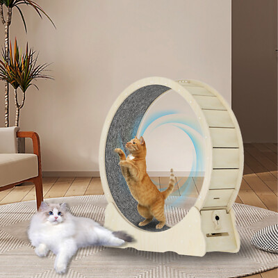 Cat Exercise Wheel Solid Wooden Cat Treadmill Running Wheel Cat Sport ...