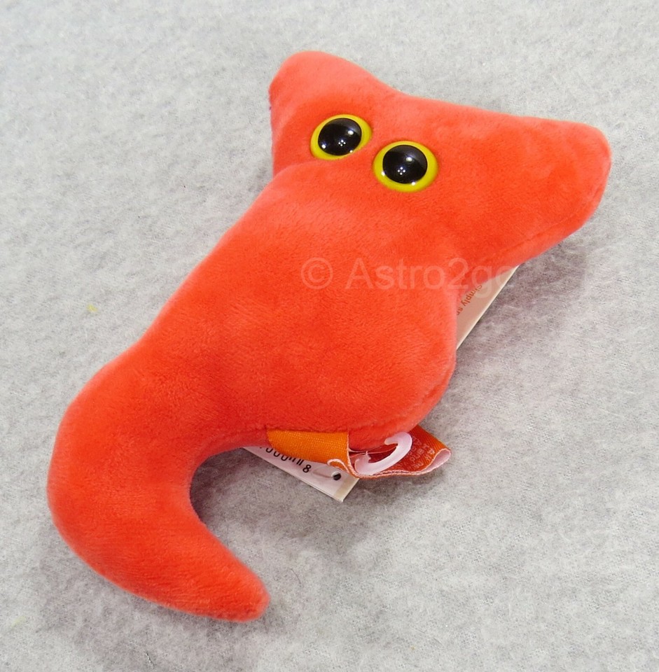 GIANT MICROBES-APPENDIX-Stuffed Plush Organ Appendicitis Colon Anatomy ...