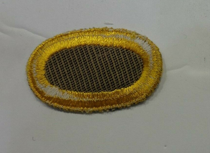 PARACHUTE BACKGROUND OVAL, 541ST PARACHUTE INFANTRY REGIMENT, WOOL ...
