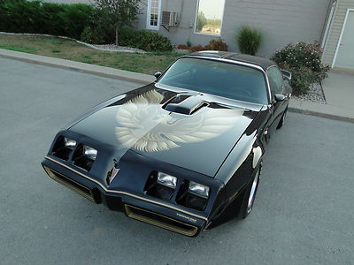1978, 79, 80 Pontiac Trans Am SE Gold Brown Decals Ultimate | eBay