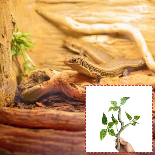 Reptiles Artificial Vine Climbing Branch Easy Installation Terrariums ...
