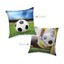 Filled Cushion Football Cushions Cover with Insert Pad Ideal Gift ...