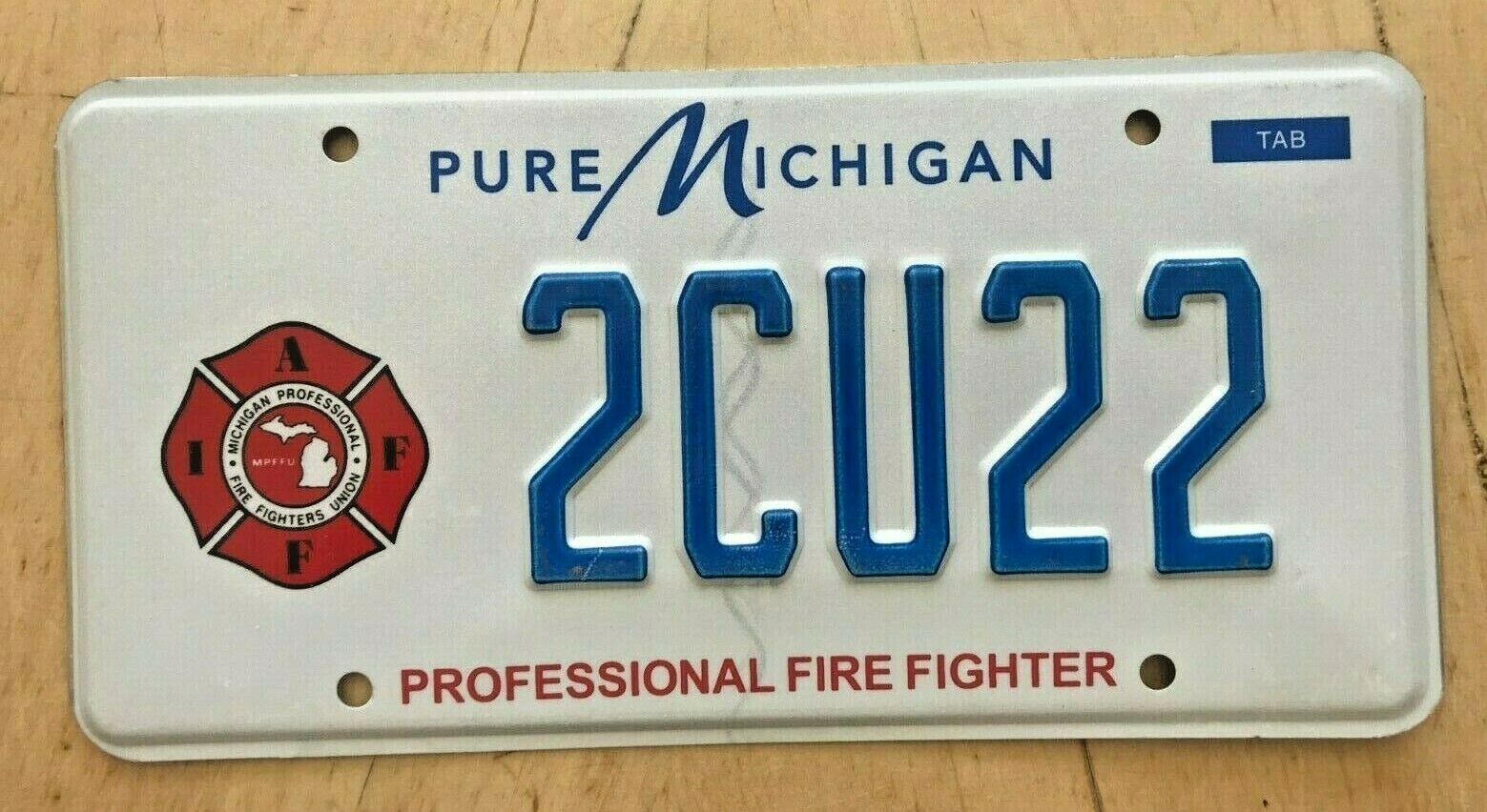 PROFESSIONAL FIREFIGHTER FIREMAN IAFF GRAPHIC AUTO LICENSE PLATE " 2 CU ...