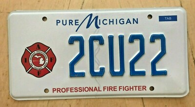 PROFESSIONAL FIREFIGHTER FIREMAN IAFF GRAPHIC AUTO LICENSE PLATE " 2 CU ...