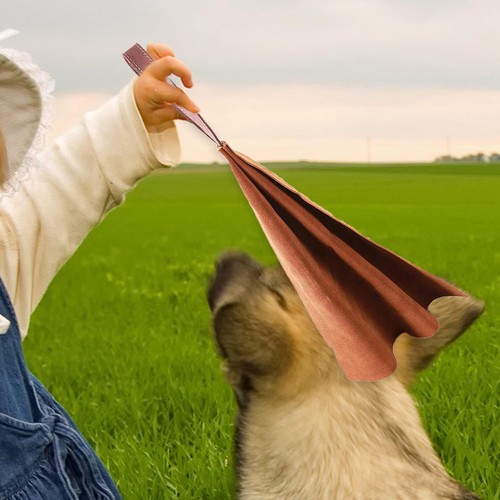 Dog Bite Rag Tug Toys with Handle Durable Leather Puppy Training | eBay