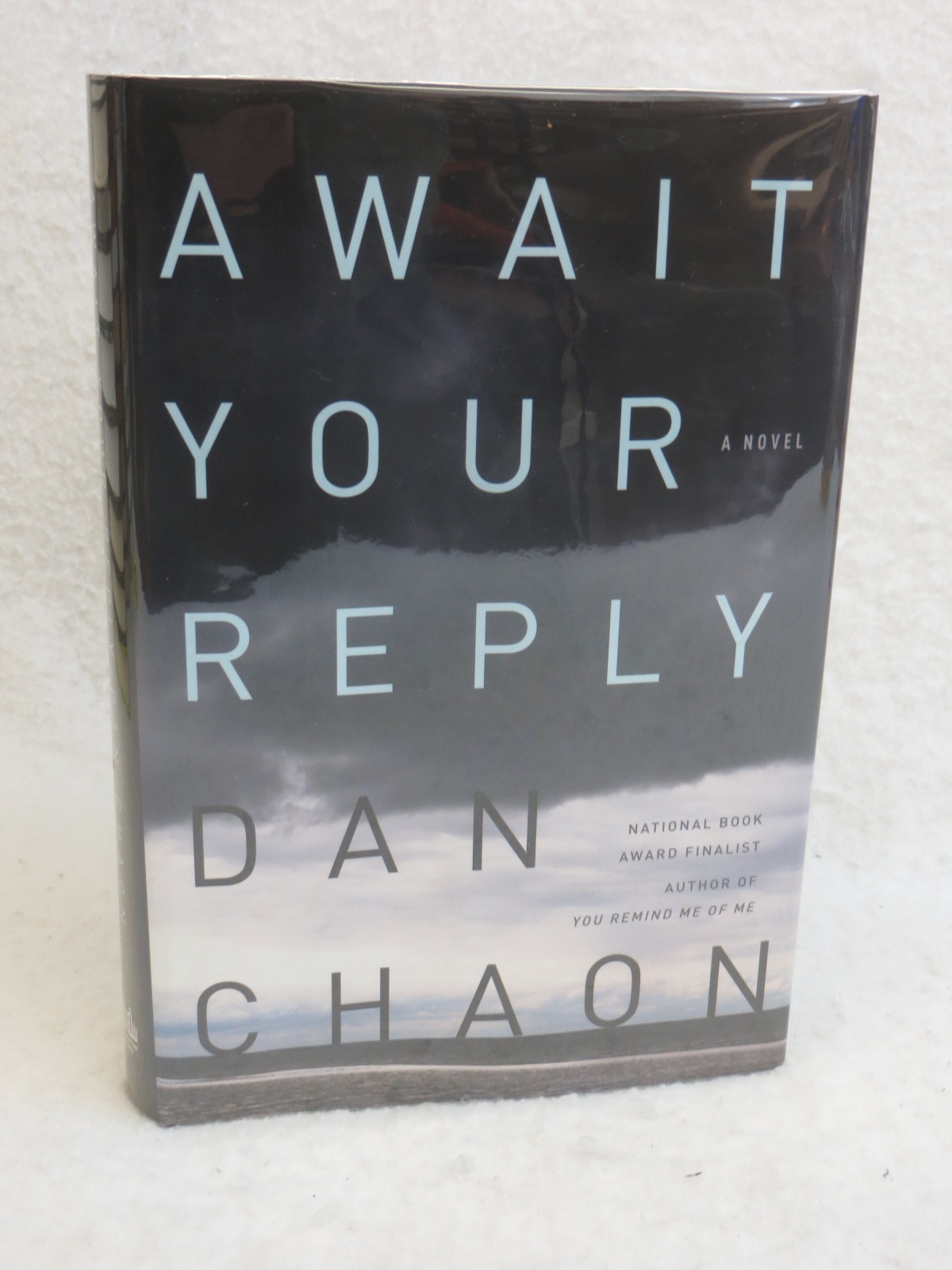 Await Your Reply by Dan Chaon (2009, Hardcover) for sale online | eBay