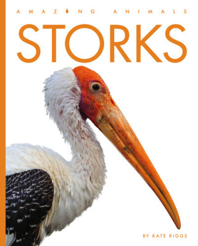 Storks (Amazing Animals) by Riggs, Kate | eBay