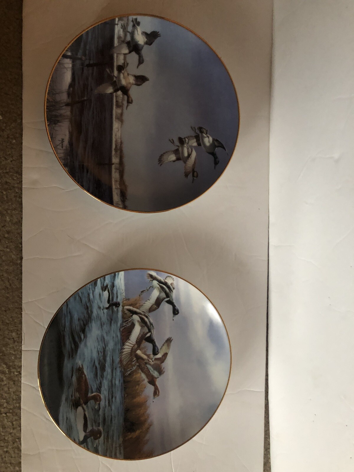 Set of 2 David Maass Collector Plates Ducks Danbury Mint Numbered | eBay