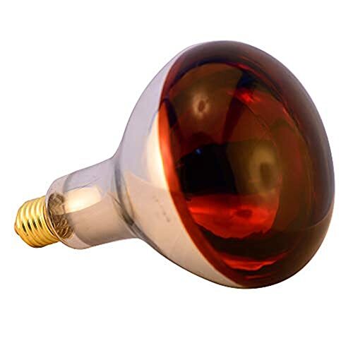 Heat Lamp Bulb R40 125 Watt 2 Pack Painted Red Infrared Glass Lamp Bulb ...