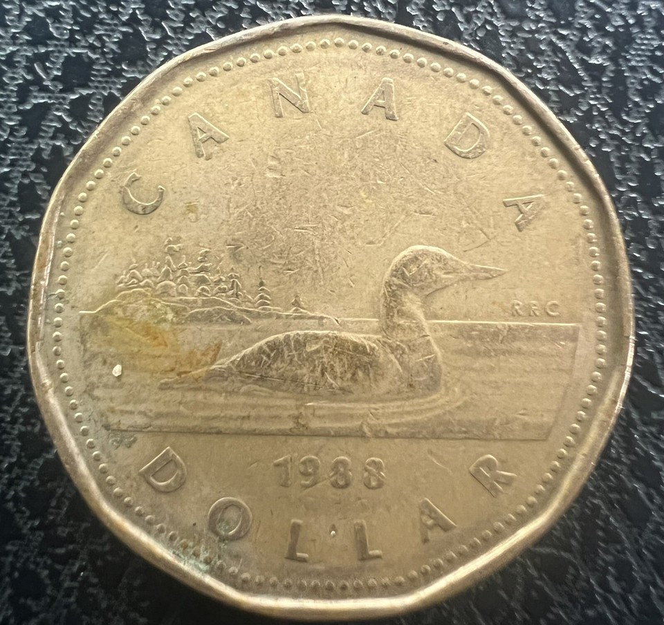 canada dollar coin 1988 | eBay