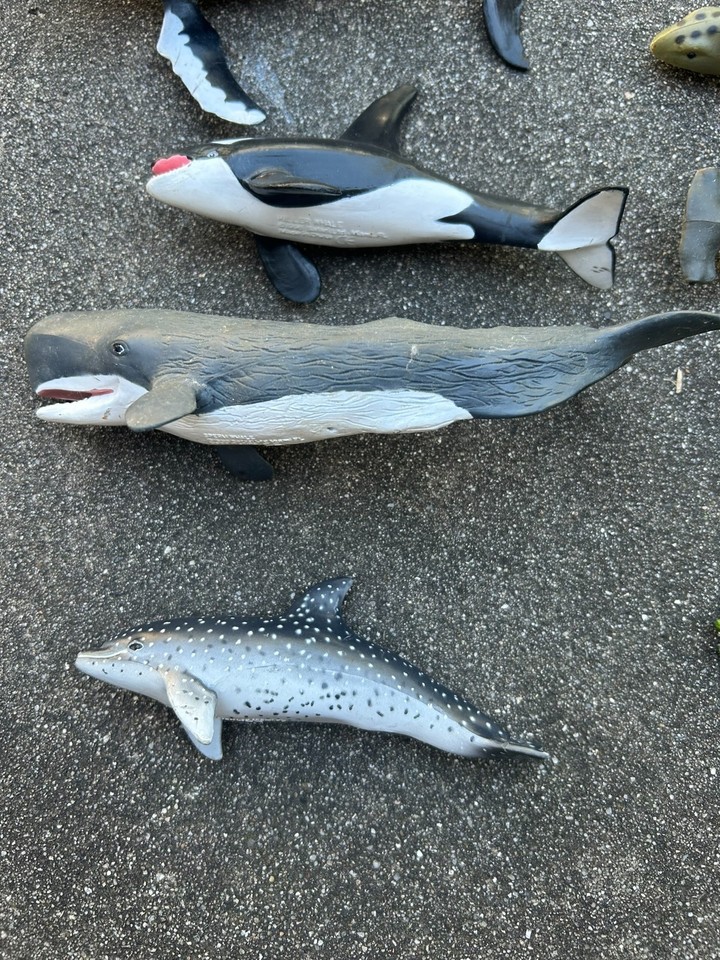 Schleich Old Model Whales, dolphins, eel, fish, whales Lot of 10 | 1996 ...