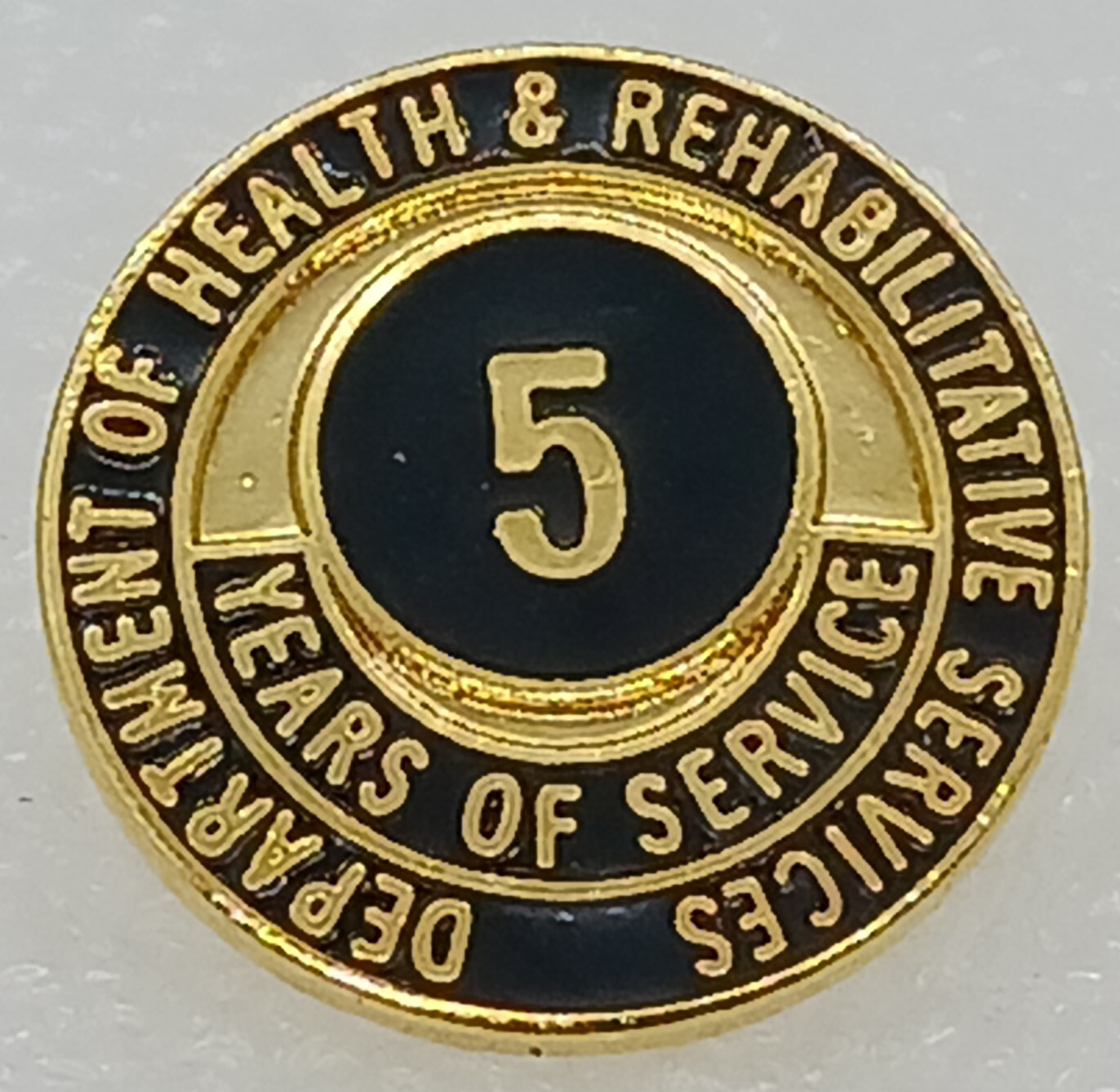 Department Of Health & Rehabilitative Services 5 Year Service Pin | eBay